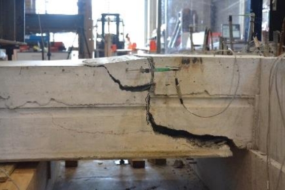 SESOC – Structural Engineering Society New Zealand (Inc.)